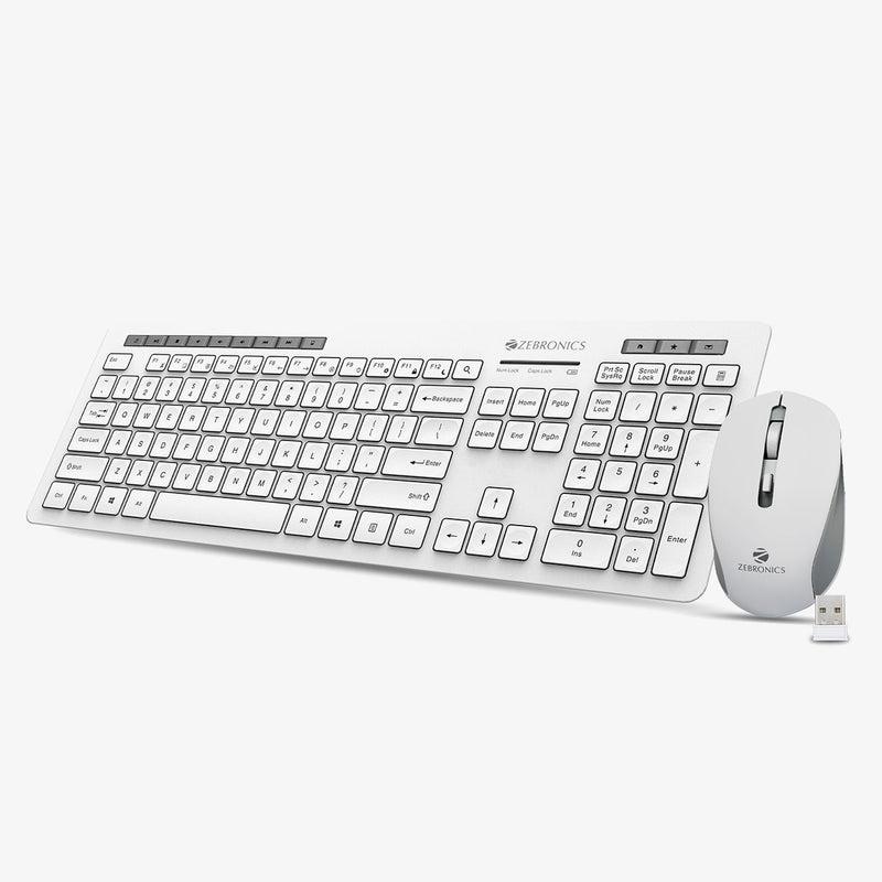 Companion 500 wireless keyboard and mouse combo